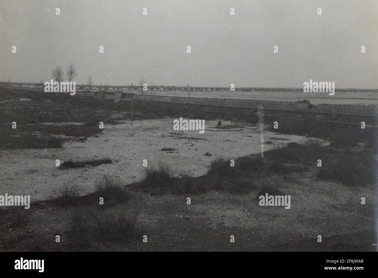 Ital. Standing (Reserve) on Tagliamento Stock Photo - Alamy