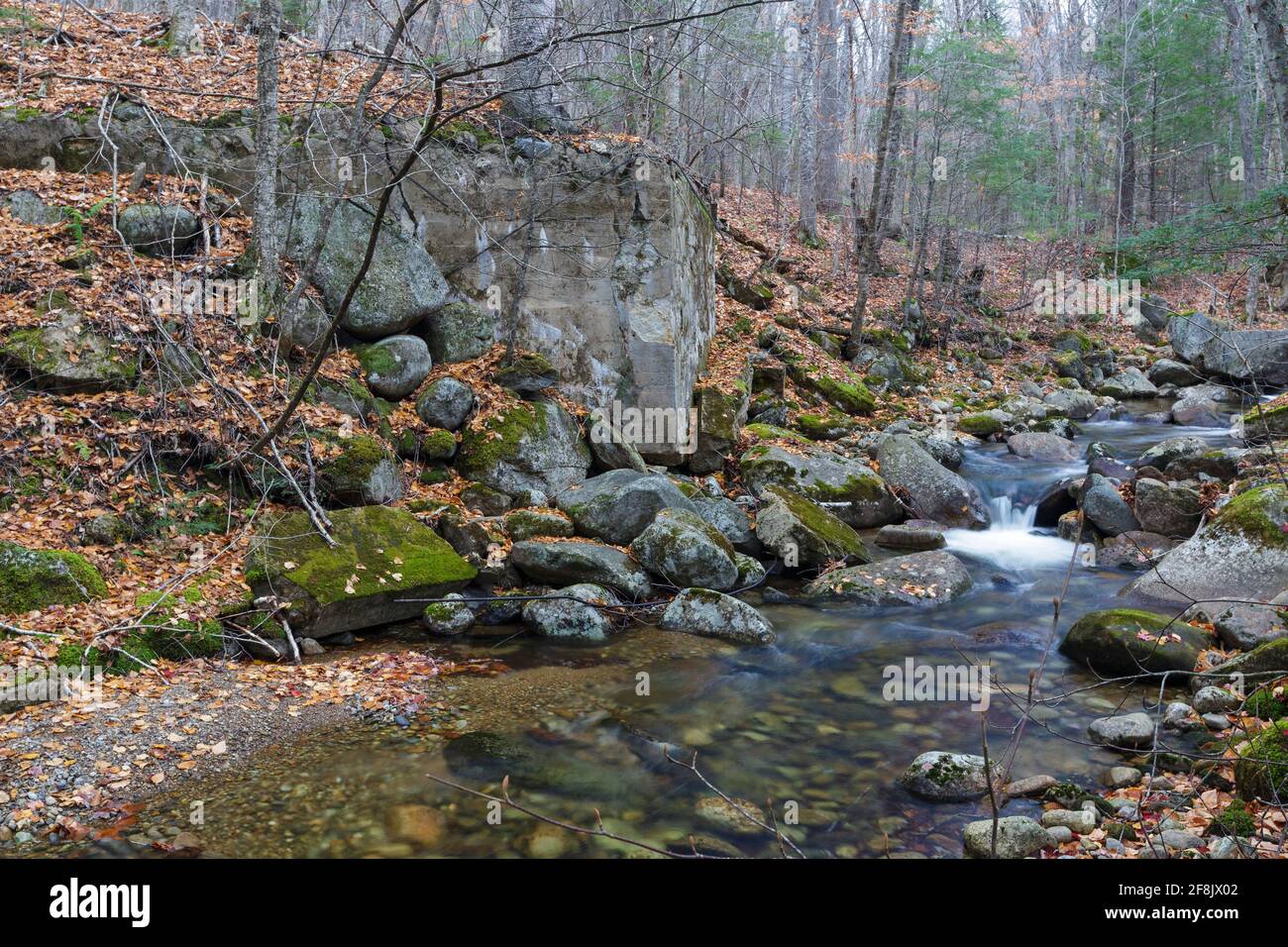 Old bridge that crossed Talford Brook just above today's Tripoli Road ...