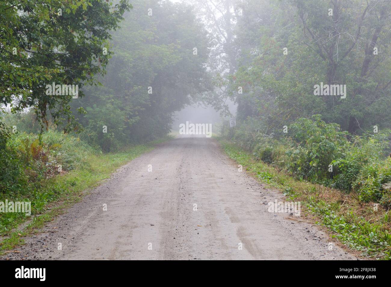 Dirt road leading to Bedell Bridge State Park in Haverhill, New ...