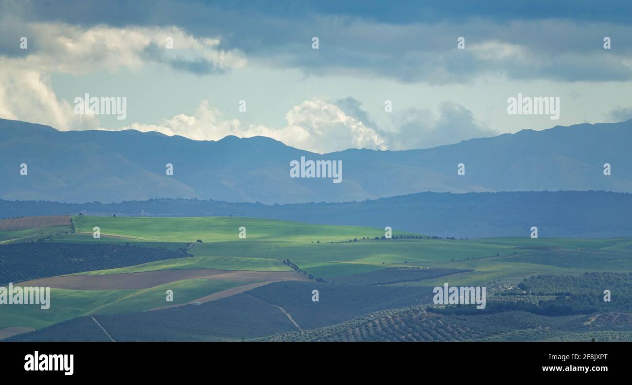 Background with fields of different crops and colors in Andalusia ...
