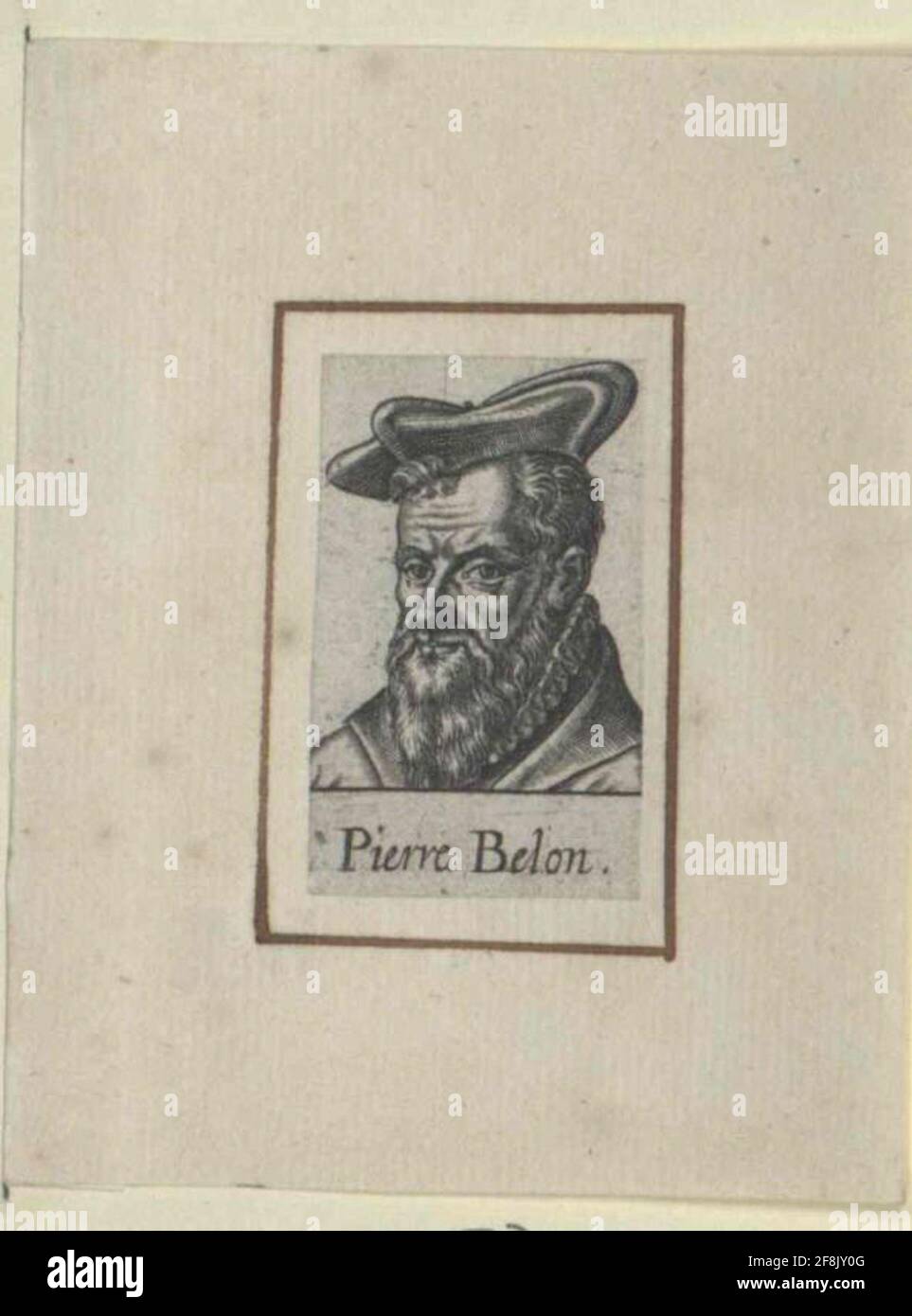 Pierre belon hi-res stock photography and images - Alamy