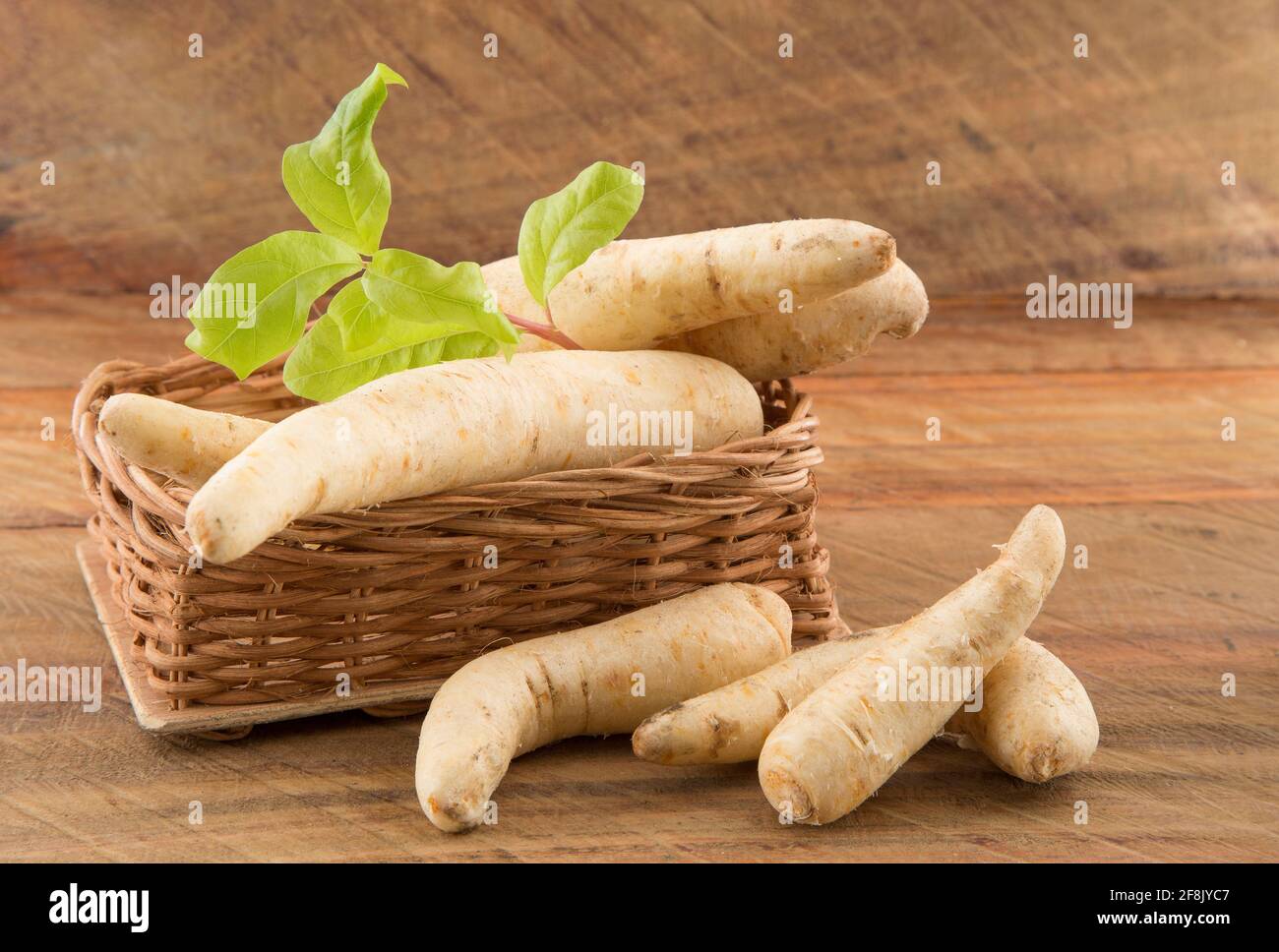 Arracacha - Arracacha - Arracacia xanthorrhiza Stock Photo - Alamy