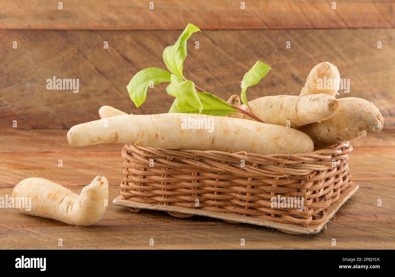 Arracacha - Arracacha - Arracacia xanthorrhiza Stock Photo - Alamy