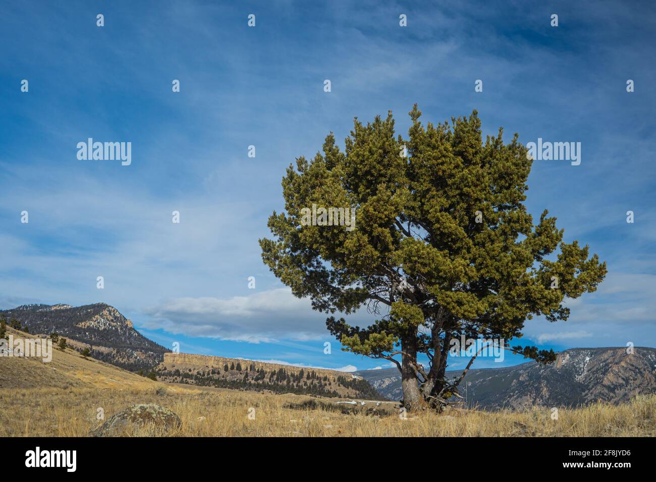 Cody Wyoming High Resolution Stock Photography and Images - Alamy