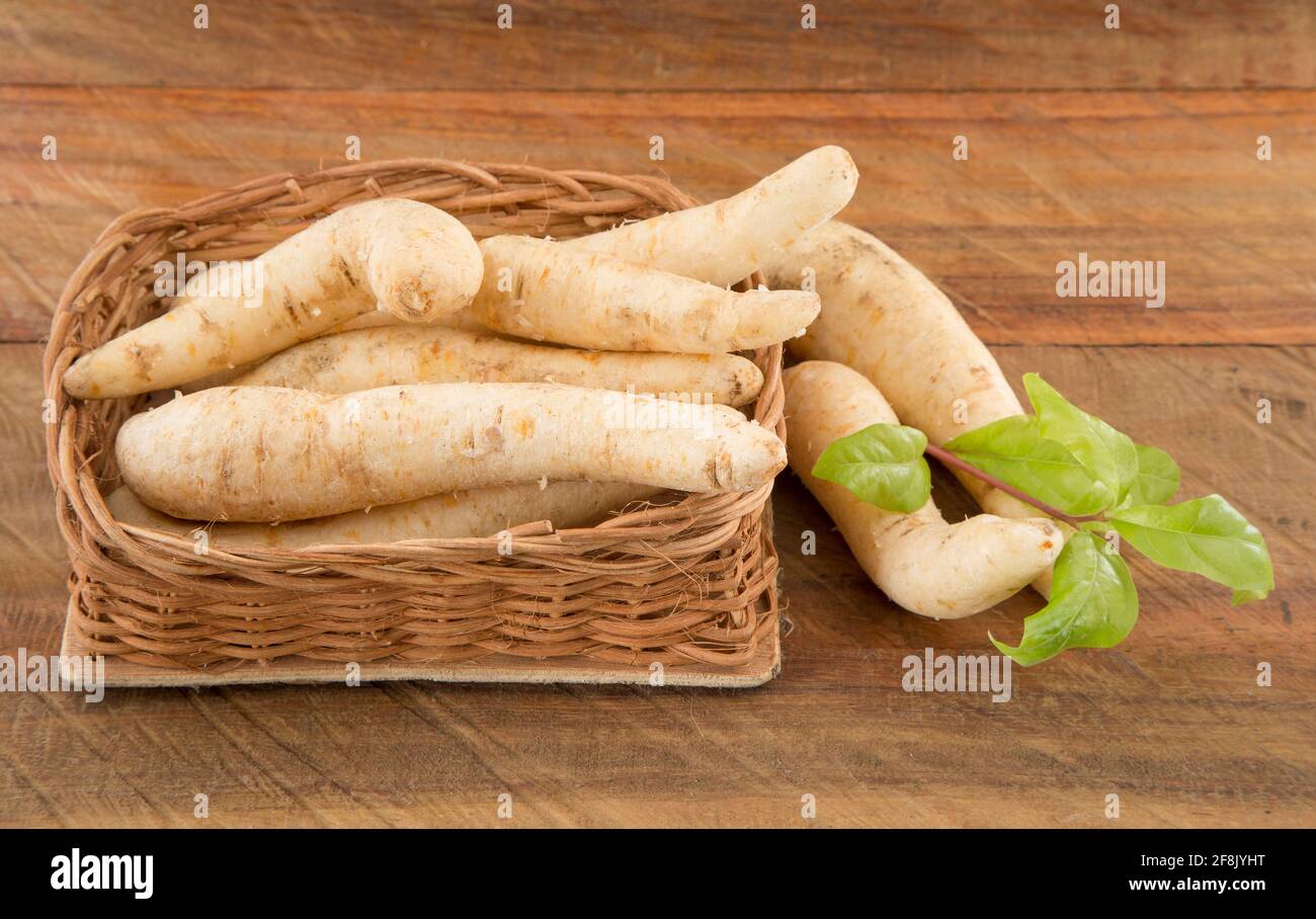 Arracacha - Arracacha - Arracacia xanthorrhiza Stock Photo - Alamy