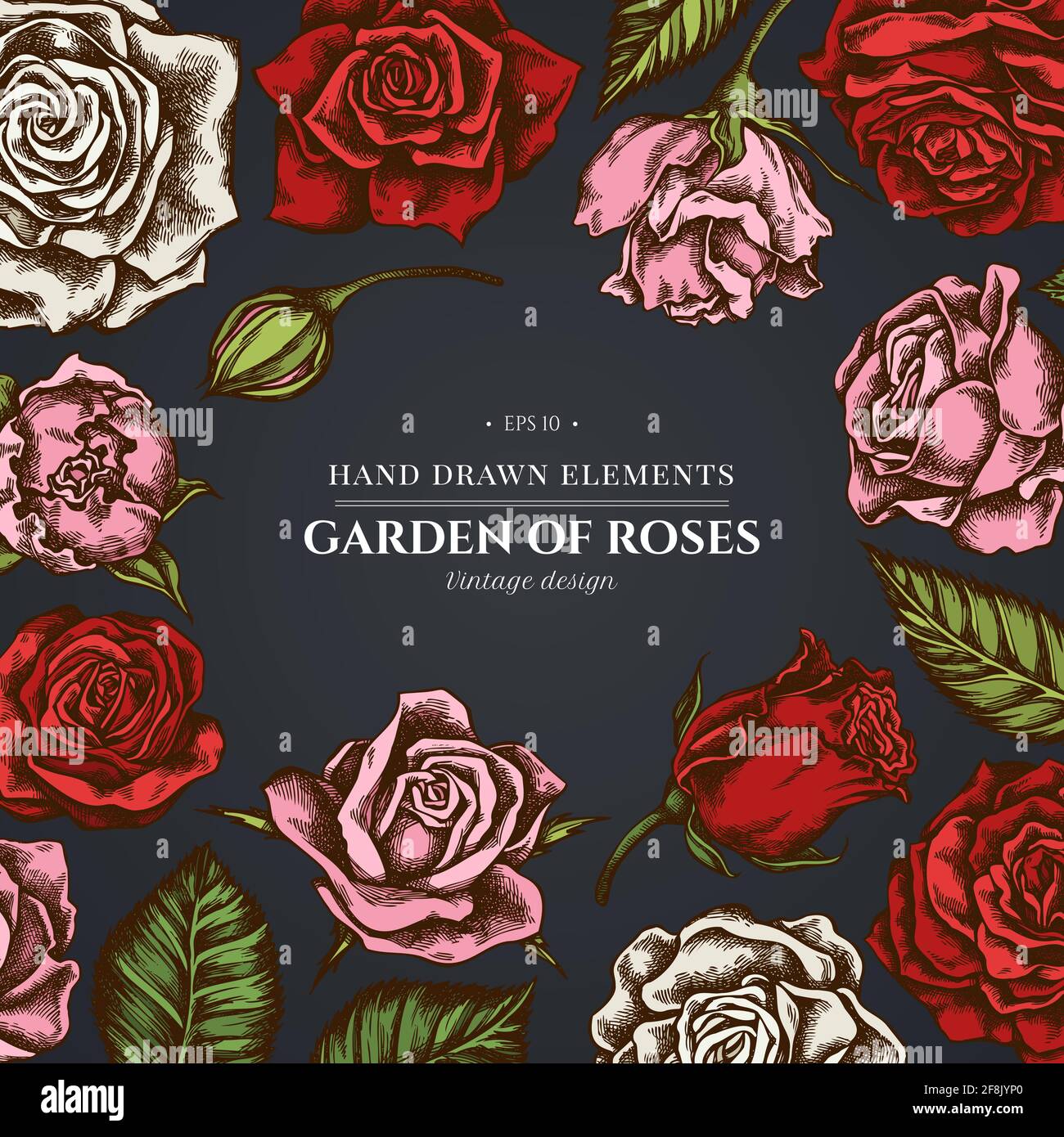 Floral design on dark background with roses Stock Vector Image & Art ...