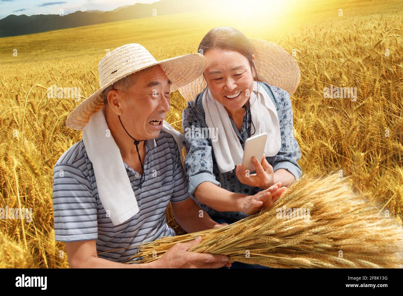 Peasant couple sat in the wheat field with a cell phone video Stock ...
