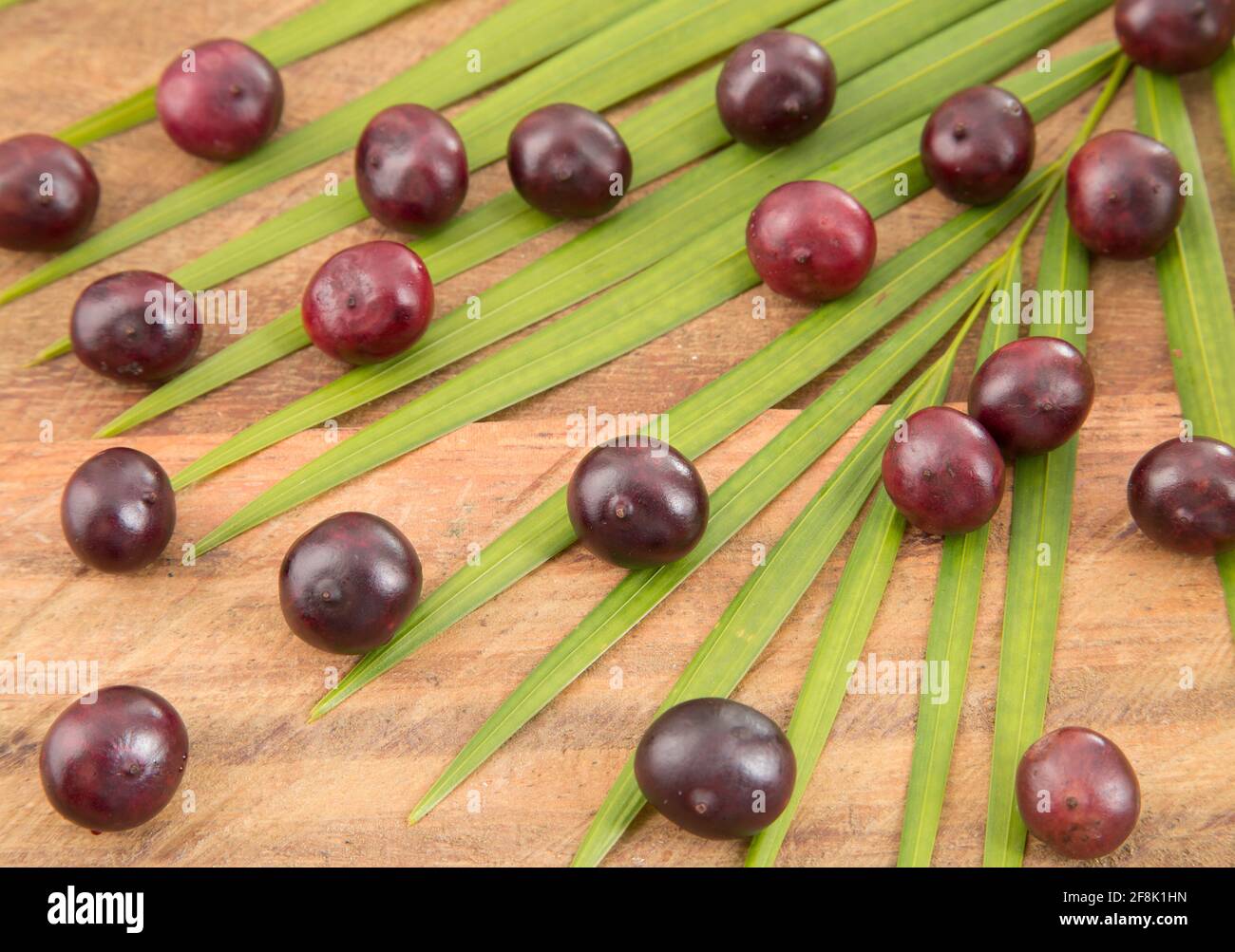 Fresh acai berry tree hi-res stock photography and images - Alamy