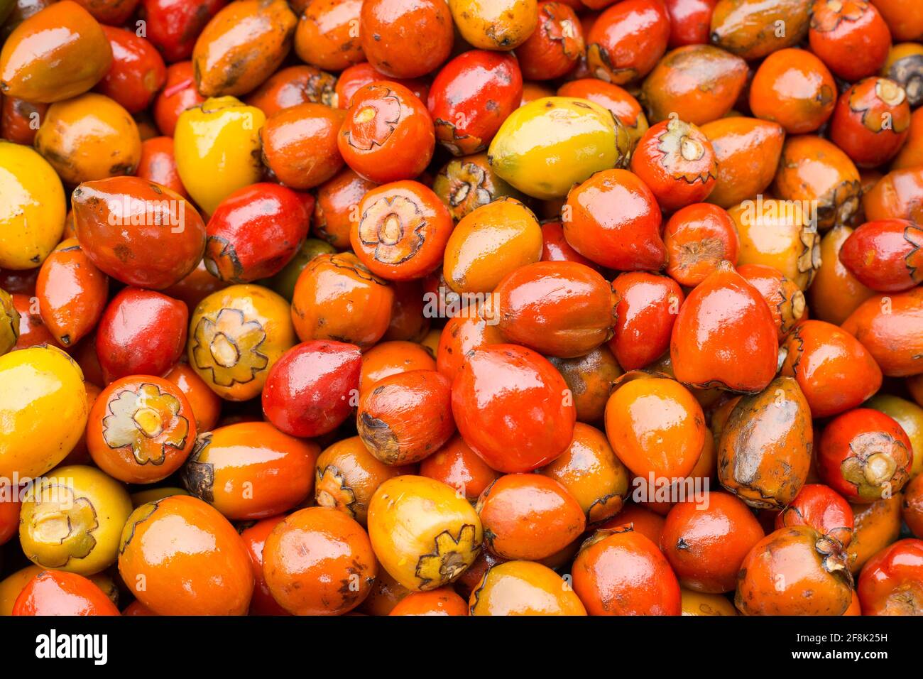 Chontaduro delicious tropical fruit - Bactris gasipaes Stock Photo - Alamy