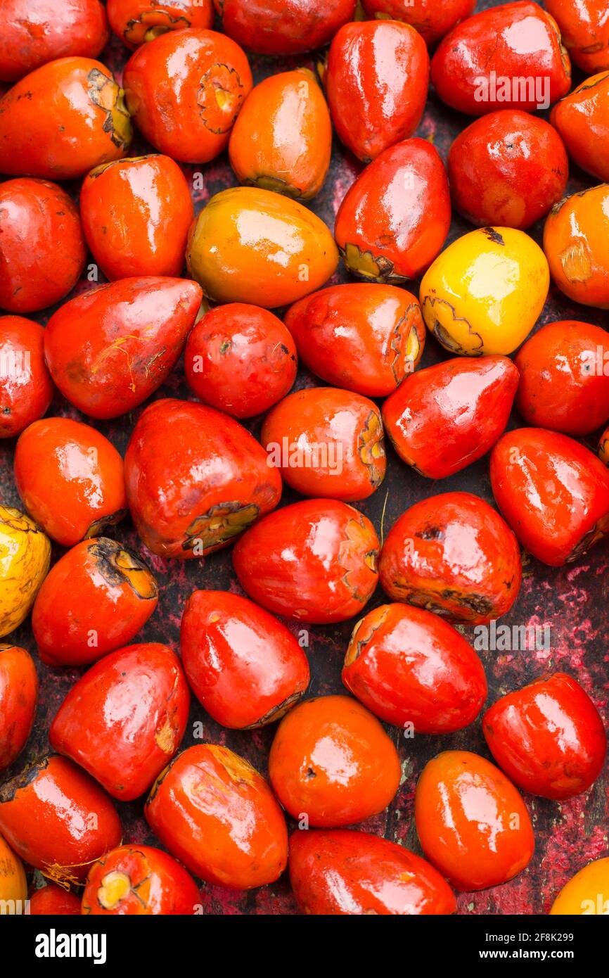 Chontaduro delicious tropical fruit - Bactris gasipaes Stock Photo - Alamy