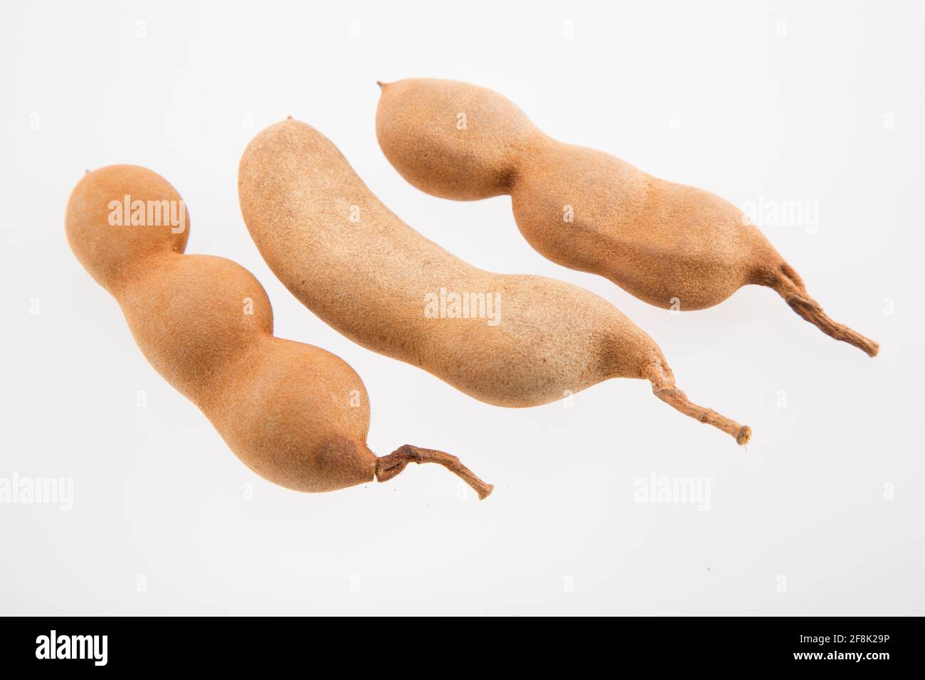 Tamarind tropical fruit - Tamarindus indica Stock Photo - Alamy