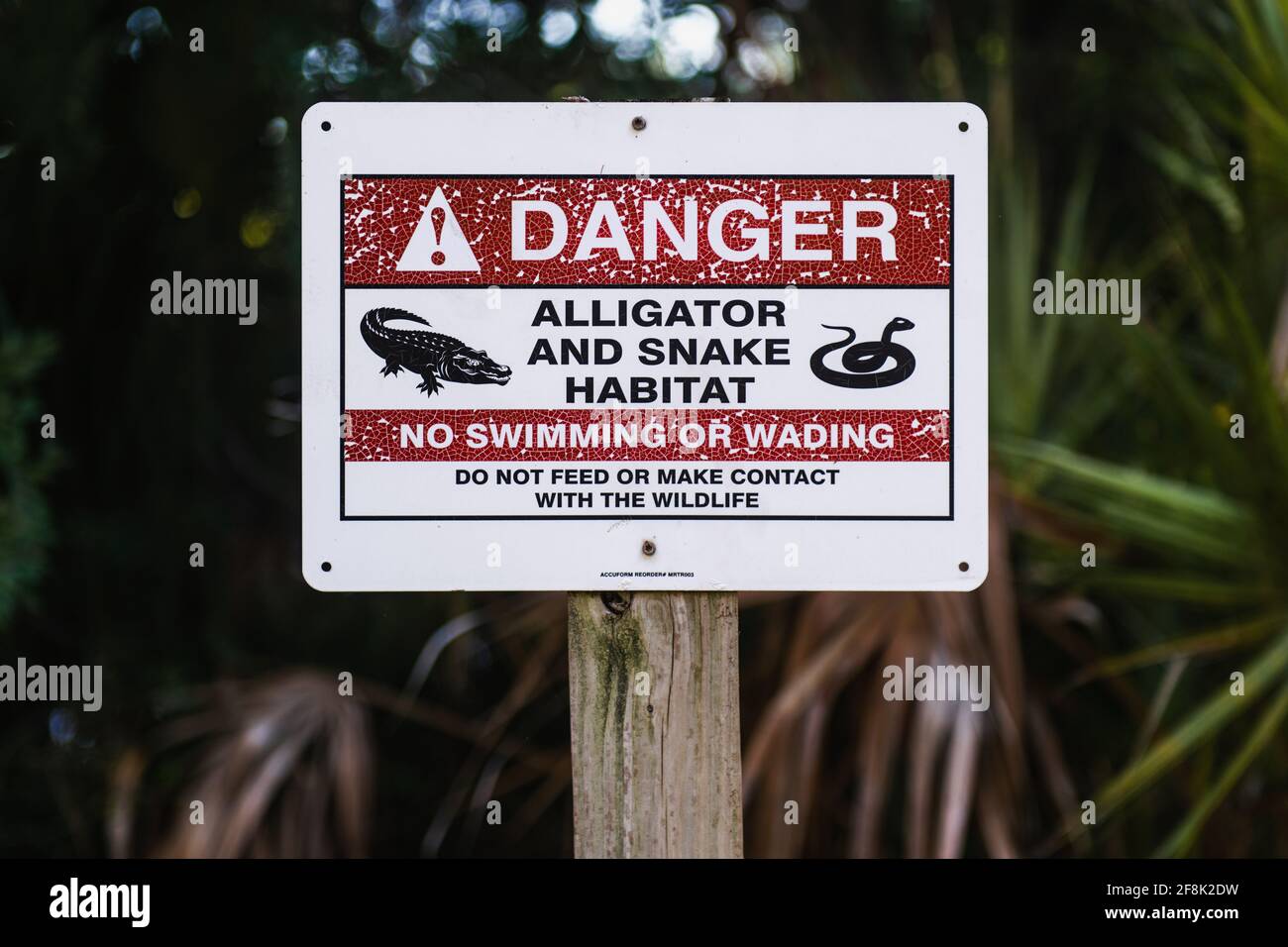 Horizontal shot of danger sign warning about alligators and snakes ...