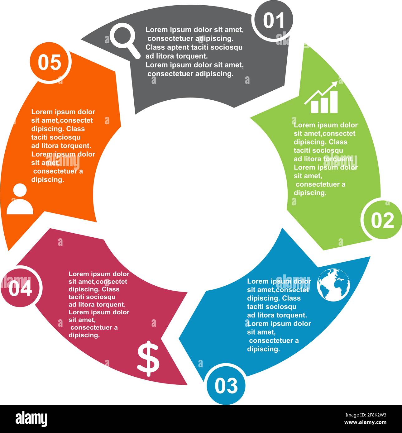 5 step vector element in five colors with labels, infographic diagram ...