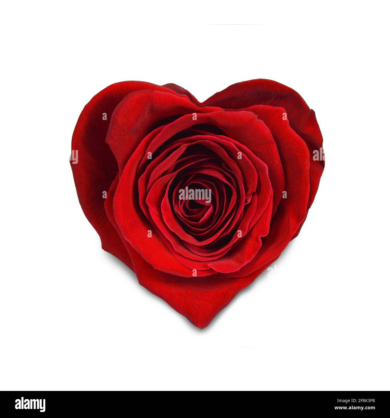 Rose heart hi-res stock photography and images - Alamy
