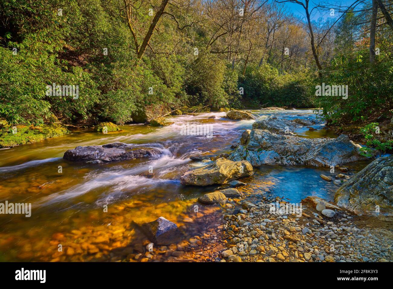Mills River in Pisgah National Forest North Carolina Stock Photo - Alamy