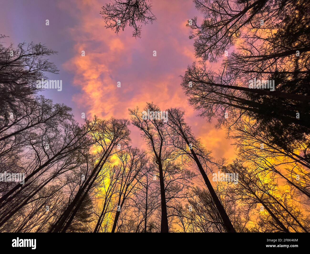 Colorful orange and yellow sunset with clouds and trees Stock Photo - Alamy