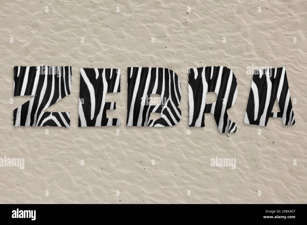 3D rendering of zebra word with zebra skin texture on sandy alphabet ...