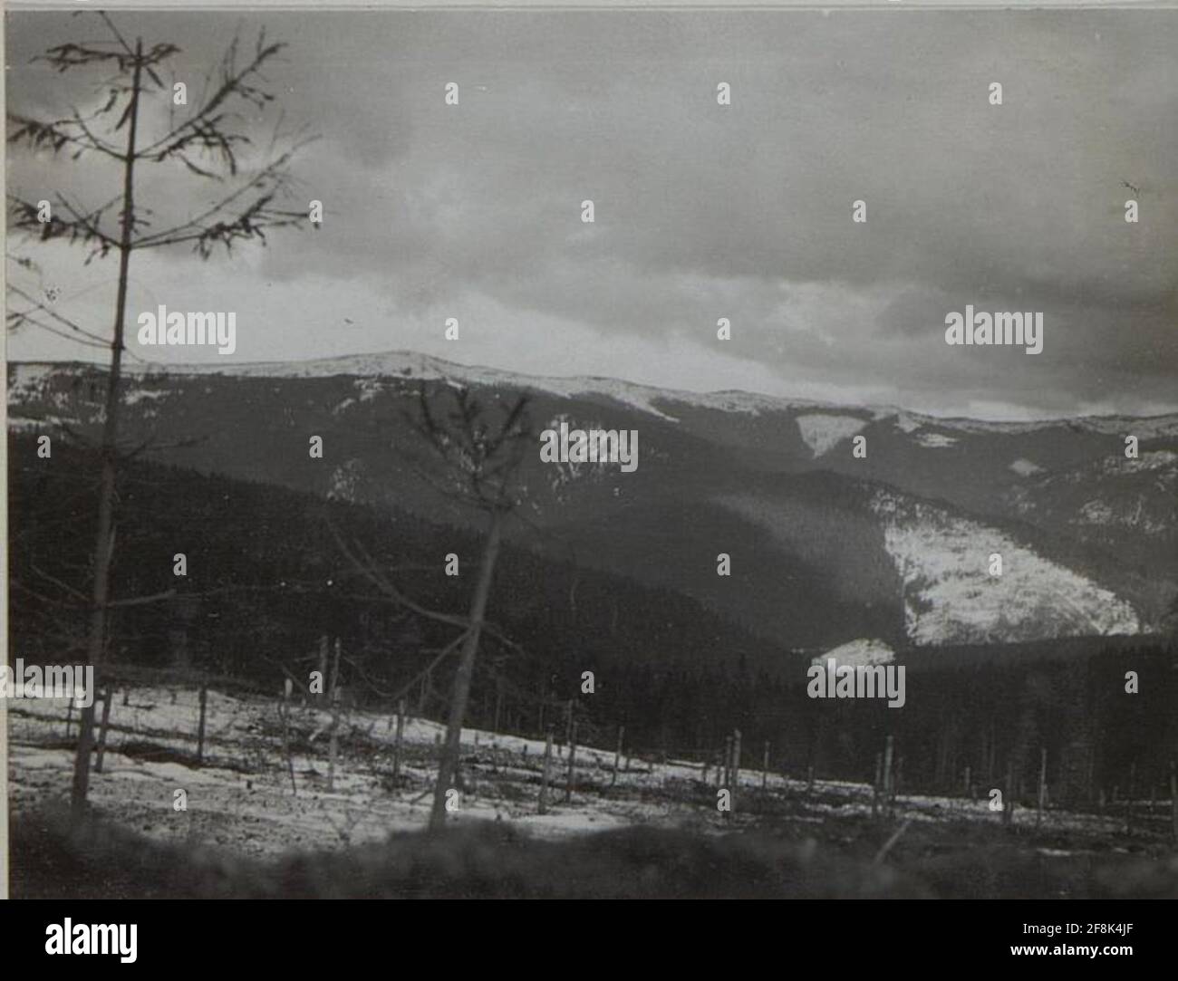 Outlook for the enemy position of the 9.Comp. of Gren.reg.3 Stock Photo ...