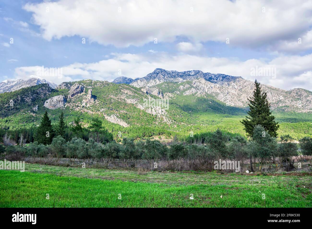 Olive grove turkey hi-res stock photography and images - Alamy