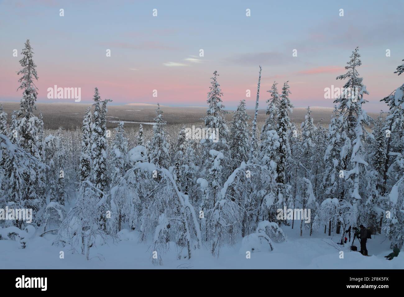 Winter landscape with colourful sky in Finnish Lapland Stock Photo - Alamy