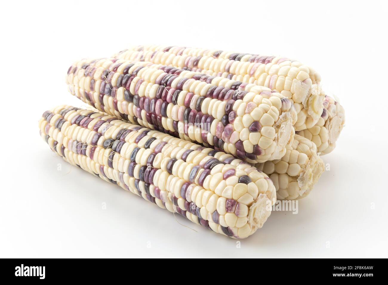 Waxy corn on white background Stock Photo - Alamy