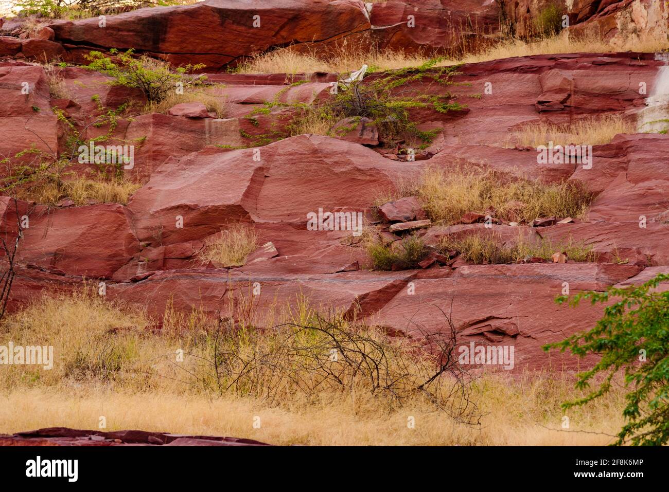 Sandstone forms when layers of sand accumulates by sedimentation are ...