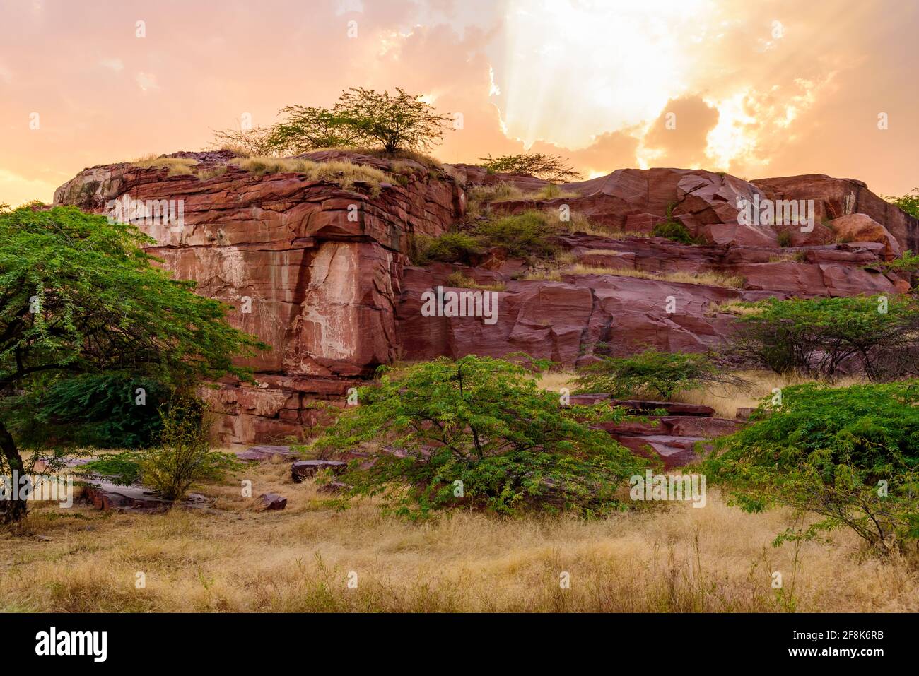 Pore spaces hi-res stock photography and images - Alamy