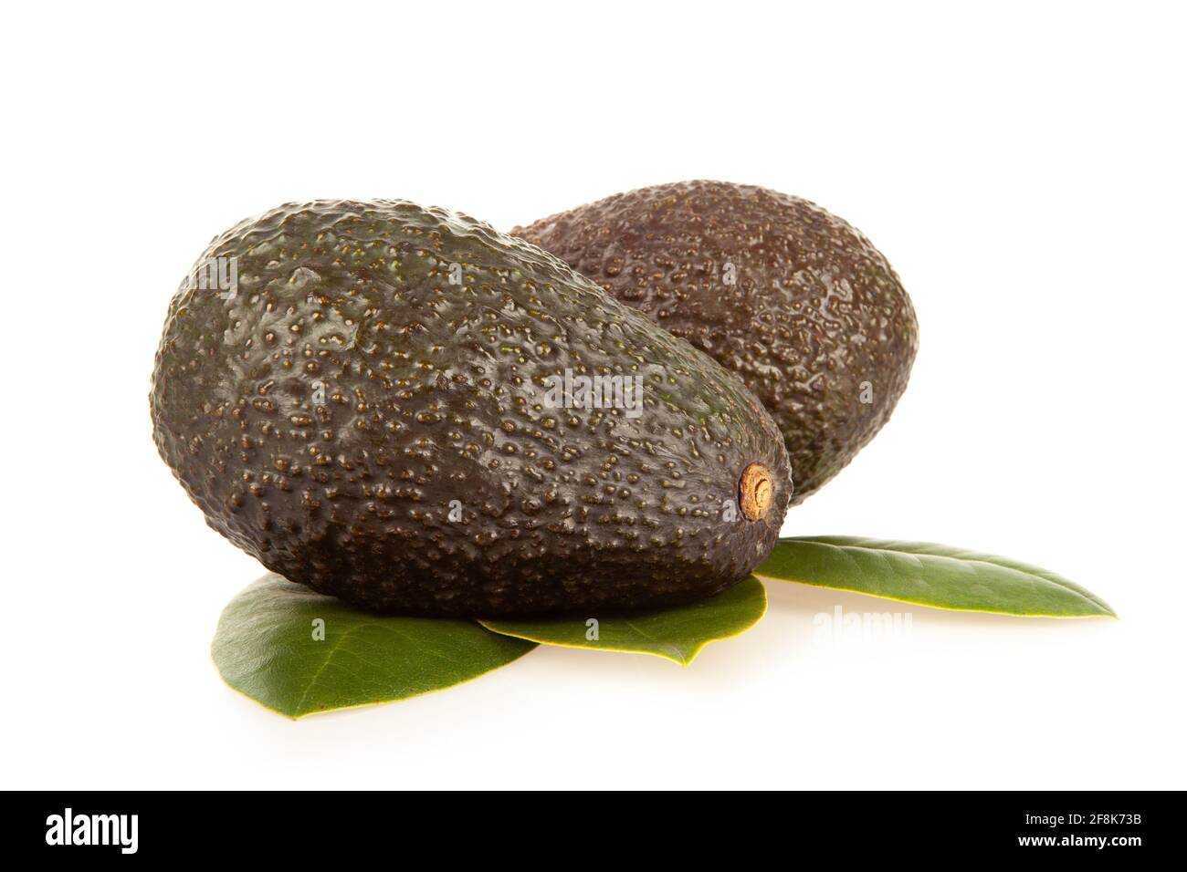 Avocado on a white background is isolated Stock Photo - Alamy