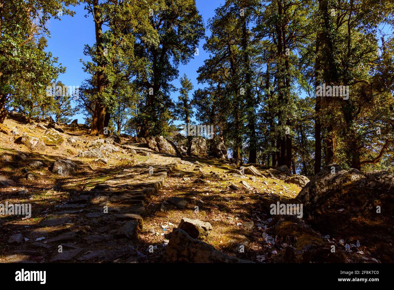 Panchachuli munsiyari uttarakhand india hi-res stock photography and ...