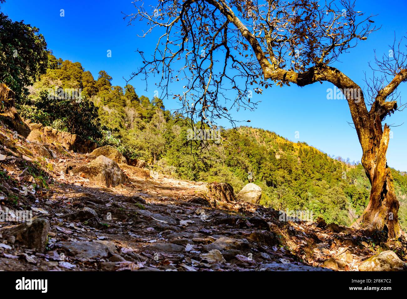 This is the view enroute to Khalia top trekk trail through Himalayas ...