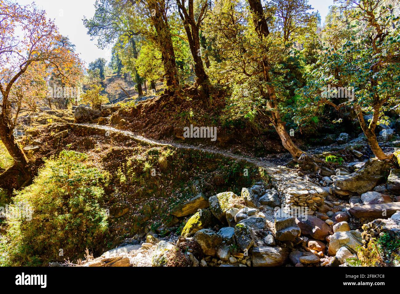 Trekk india hi-res stock photography and images - Alamy