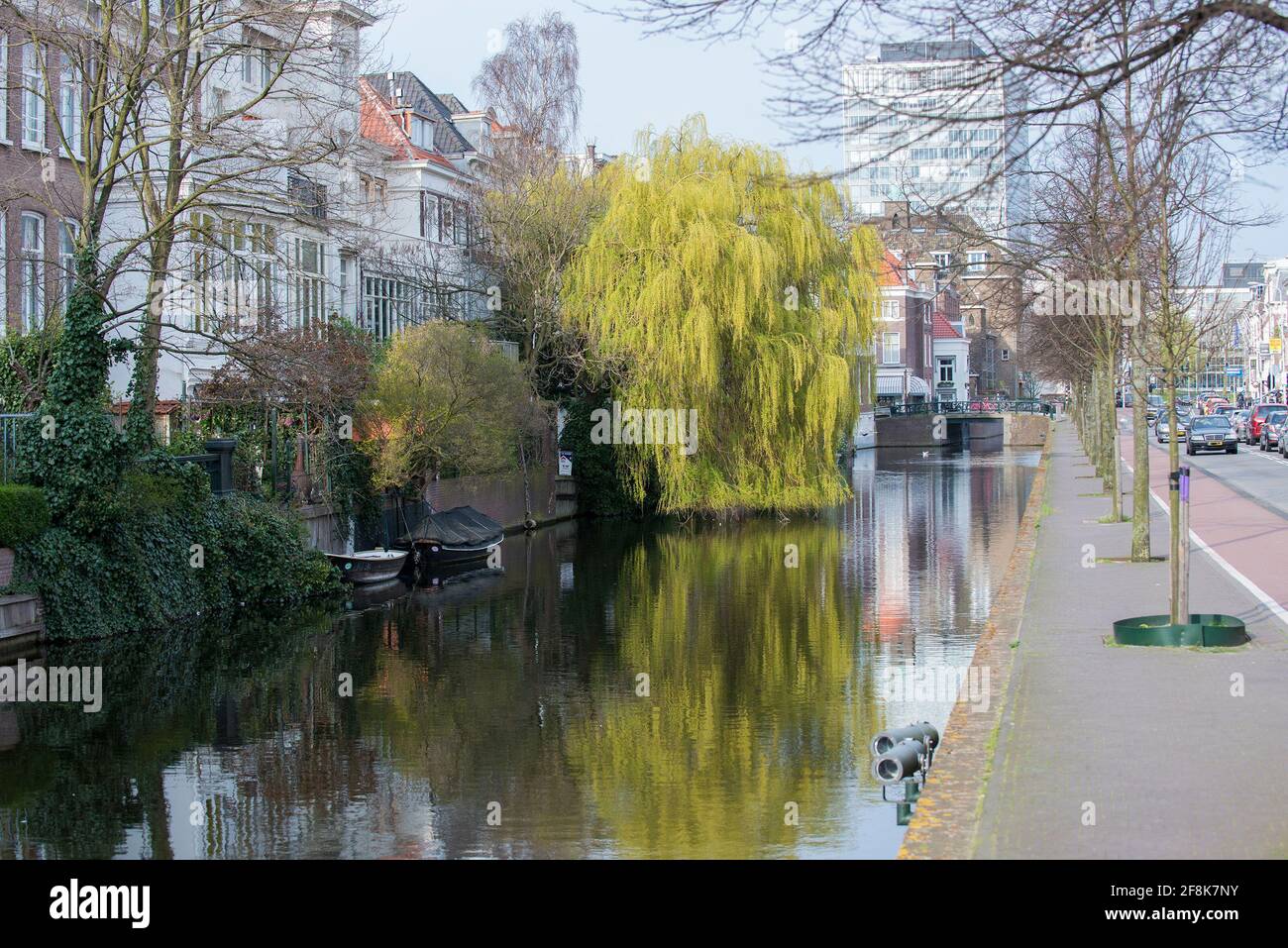 Canal in The Hague, the Netherlands with Weeping Willow (Salix ...
