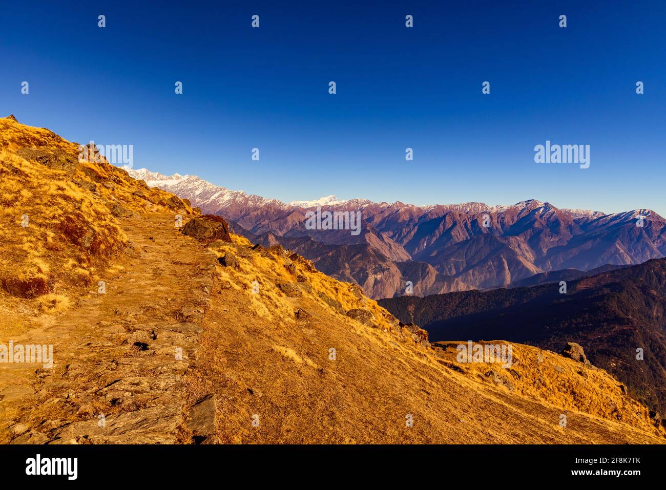 This is the view enroute to Khalia top trek trail through Himalayas ...