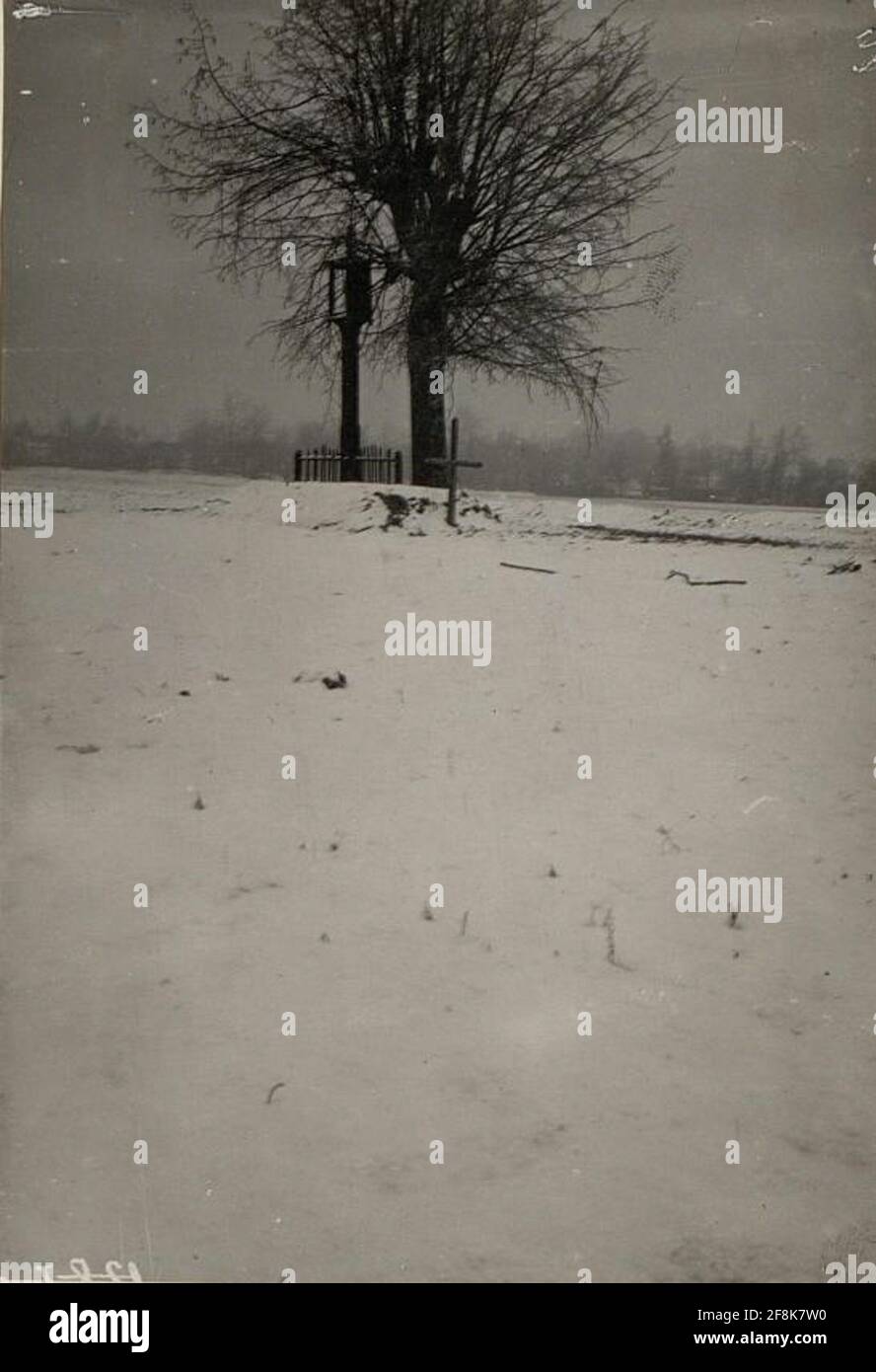 Solting diges at the tree and Kreutz (11 men of I.R.147.) And Österr ...