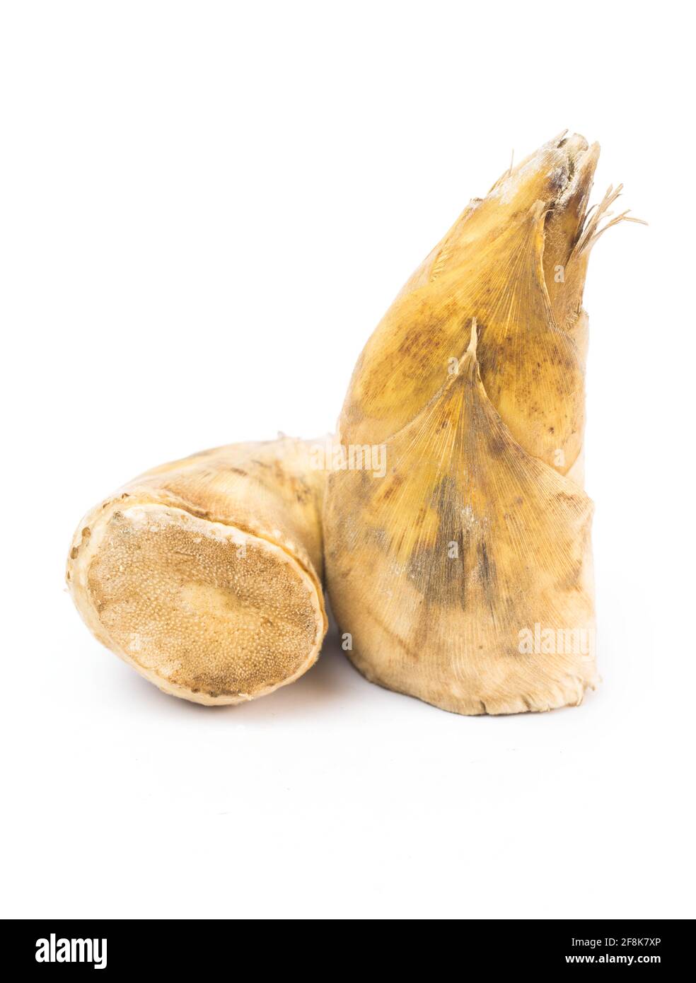 Bamboo Sheath High Resolution Stock Photography and Images - Alamy