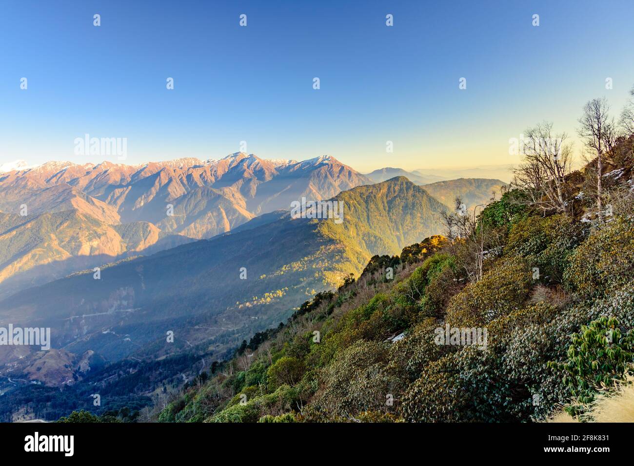 This is the sunset view of Himalayas alpine landscape from Khalia top ...