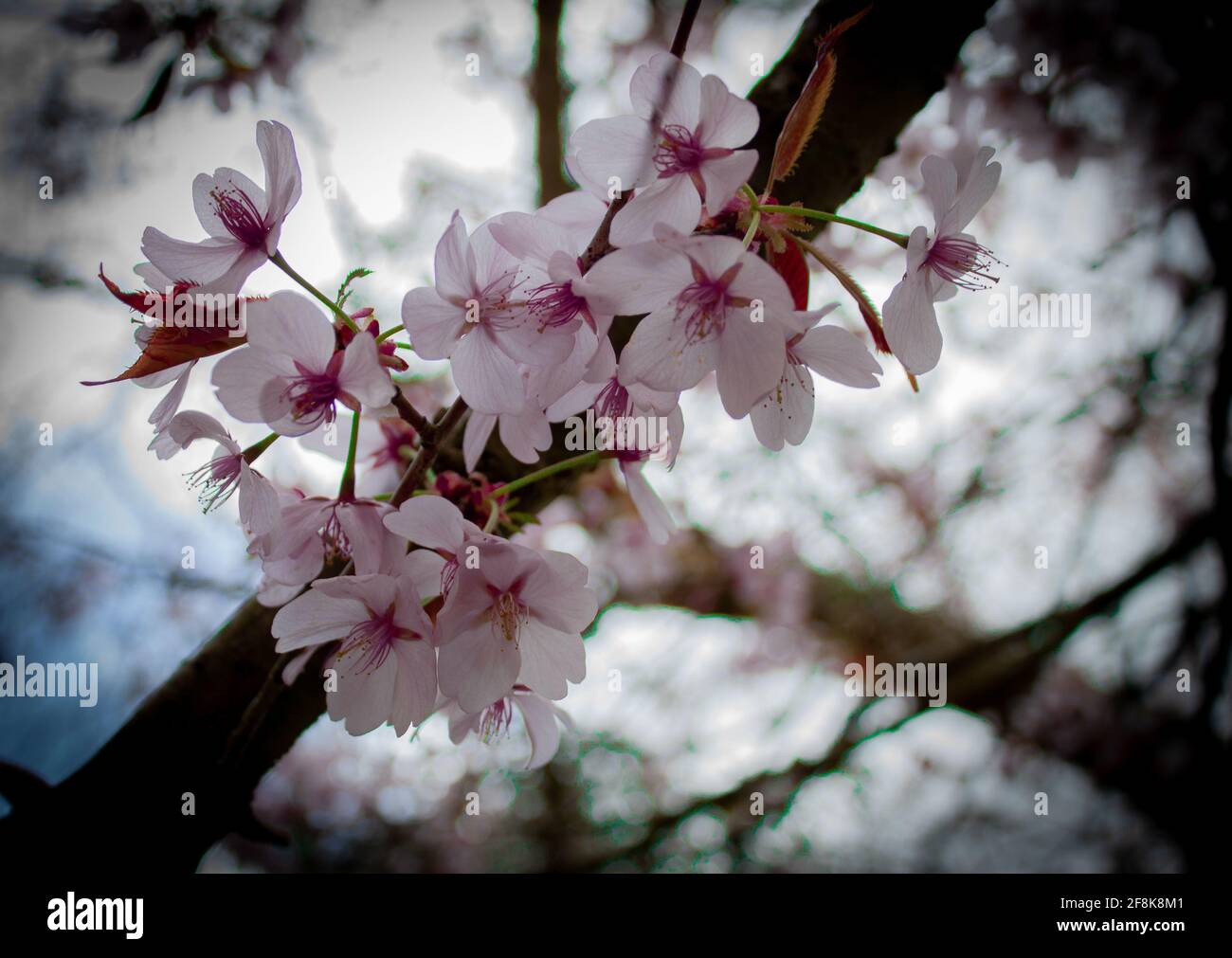 Spring summer autumn winter hi-res stock photography and images - Alamy