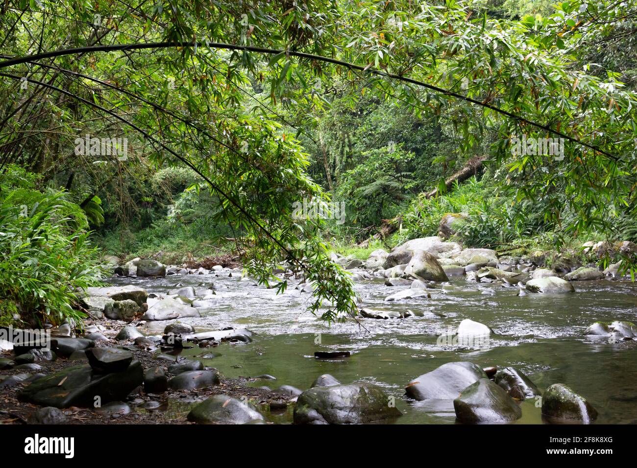 Taipei wallpaper hi-res stock photography and images - Alamy