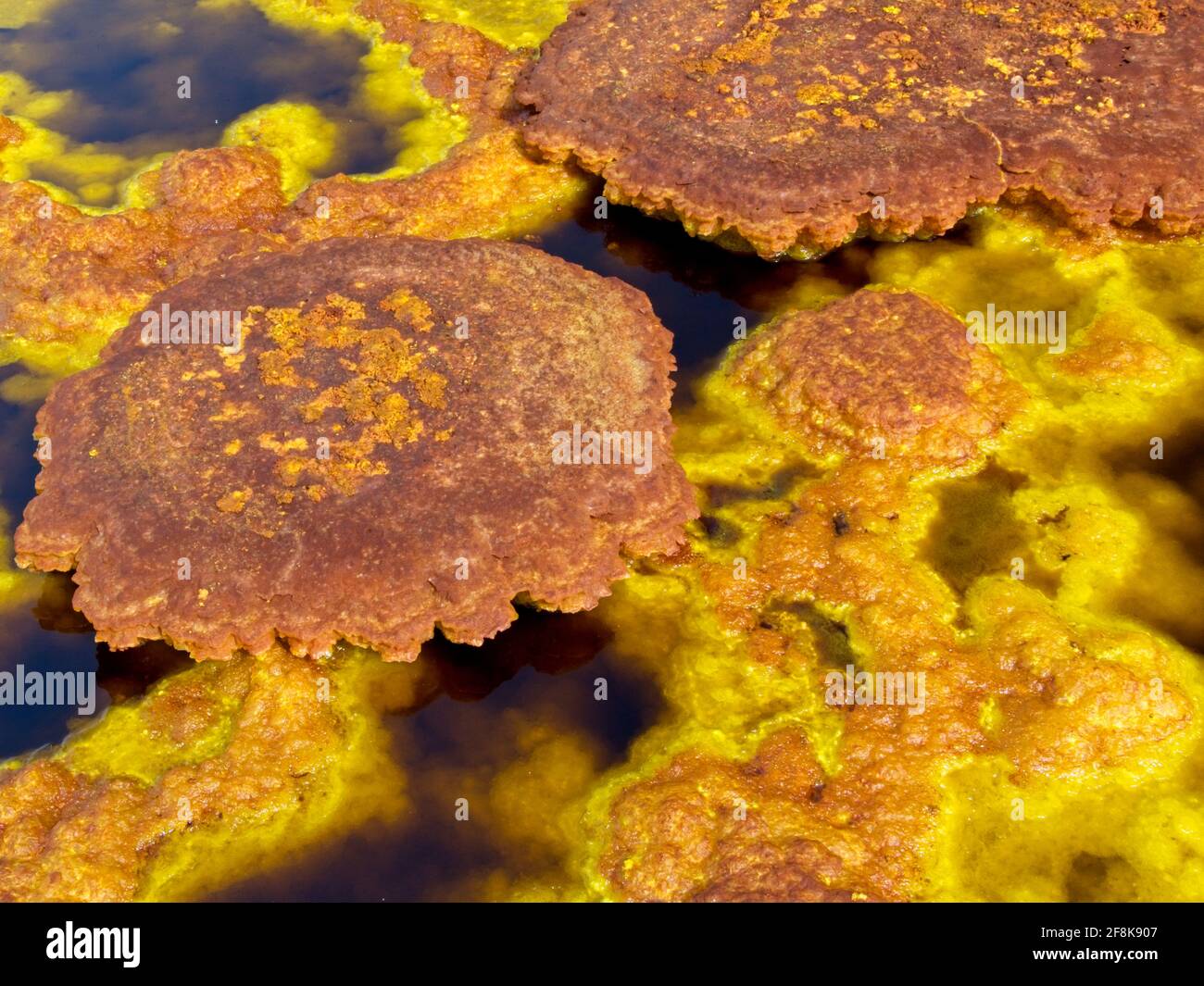Acid ponds in dallol ethiopia hi-res stock photography and images - Alamy