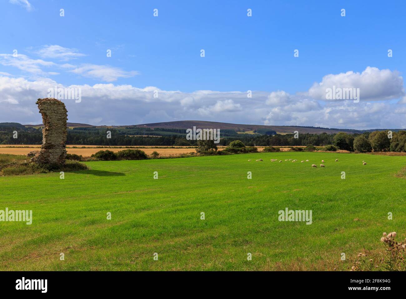 Open Scottish fields with remains of an old stone building standing ...