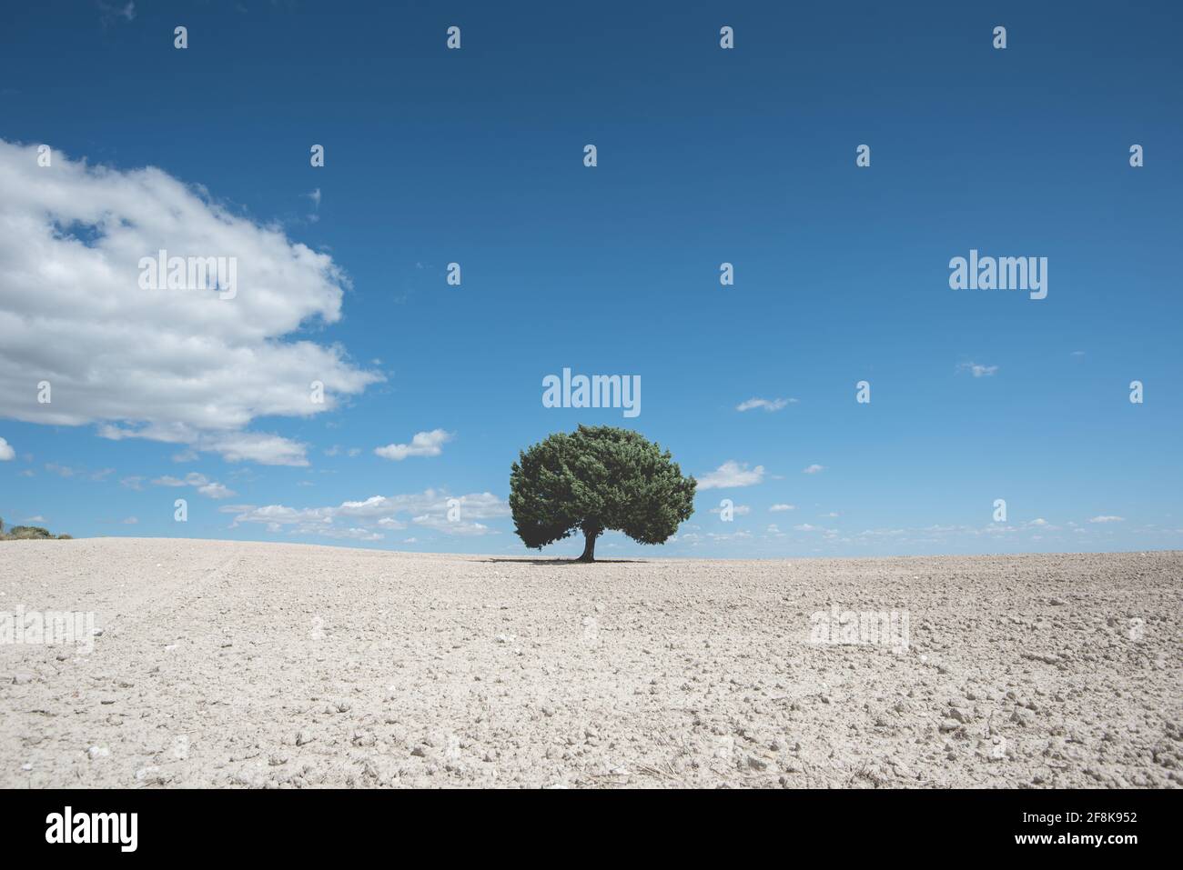 Minimal desert hi-res stock photography and images - Alamy