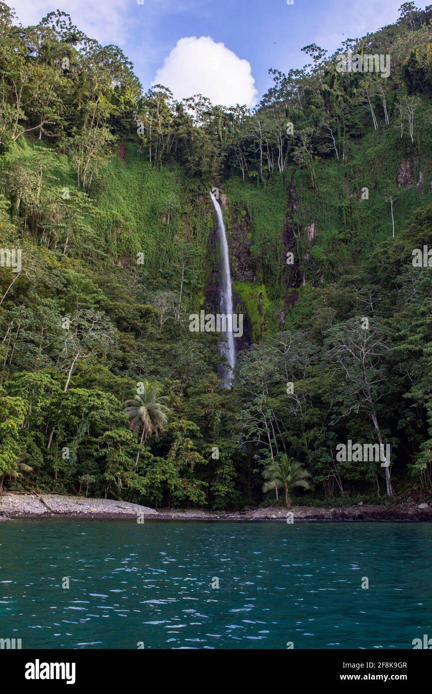 Cocos island costa rica forest hi-res stock photography and images - Alamy