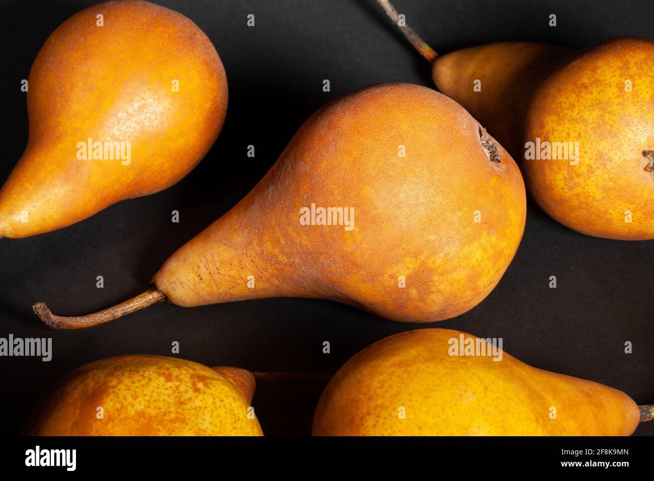 Spotted with yellow and black hi-res stock photography and images - Alamy