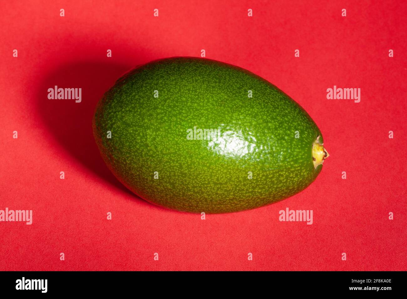 One avocado hi-res stock photography and images - Alamy