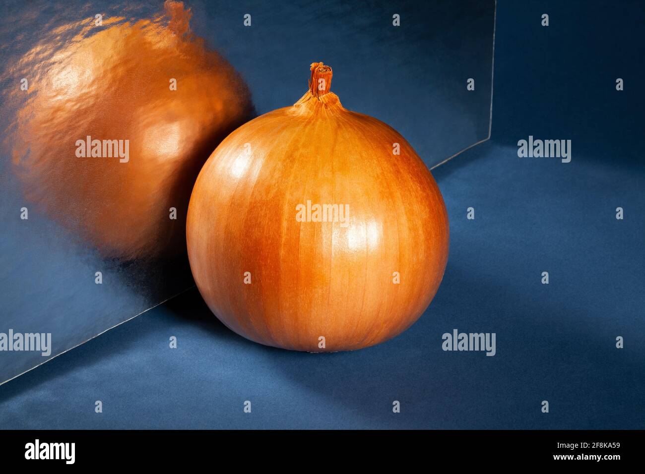 Blue onion hi-res stock photography and images - Alamy