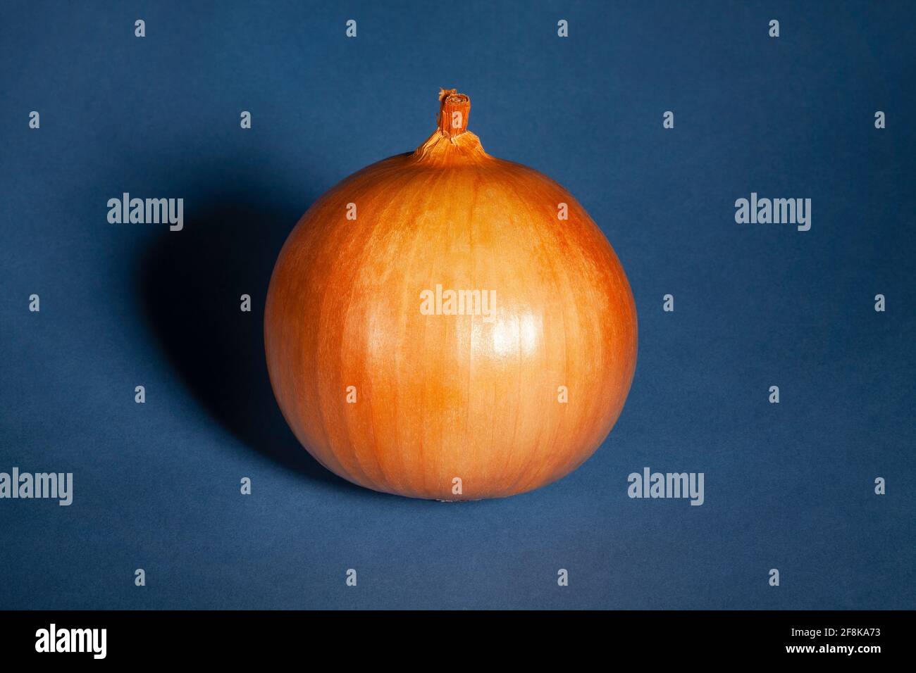 one onion on blue background Stock Photo - Alamy