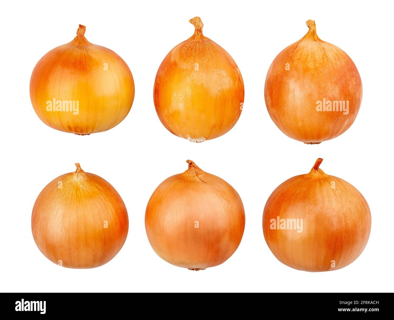 onion path isolated on white Stock Photo - Alamy