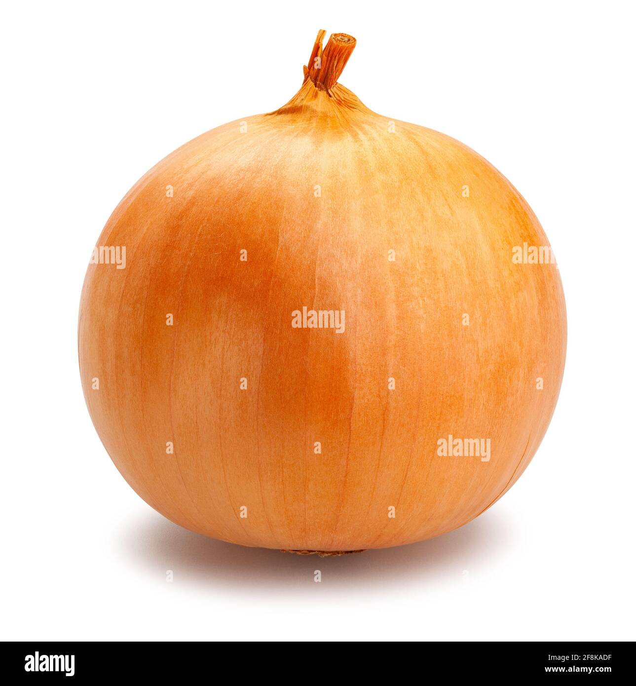 onion path isolated on white Stock Photo - Alamy