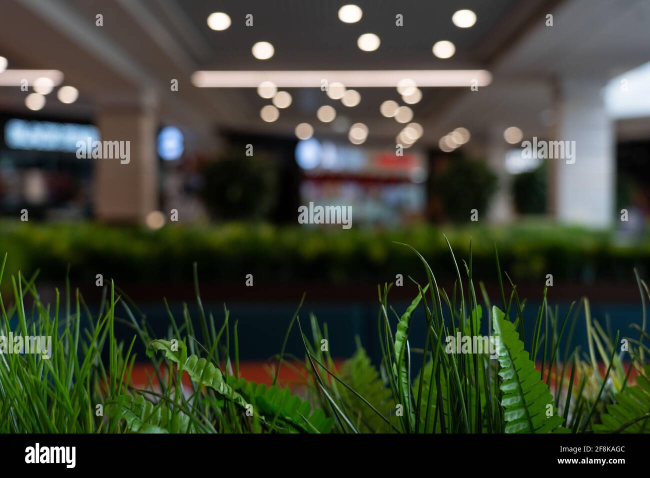 Food court area with spacious eating dining location decorated with ...