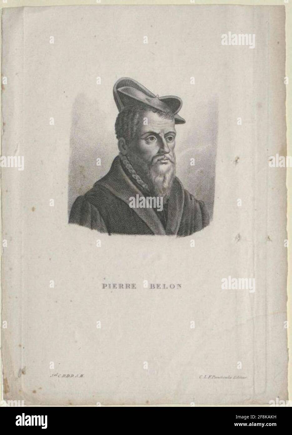 Pierre belon hi-res stock photography and images - Alamy